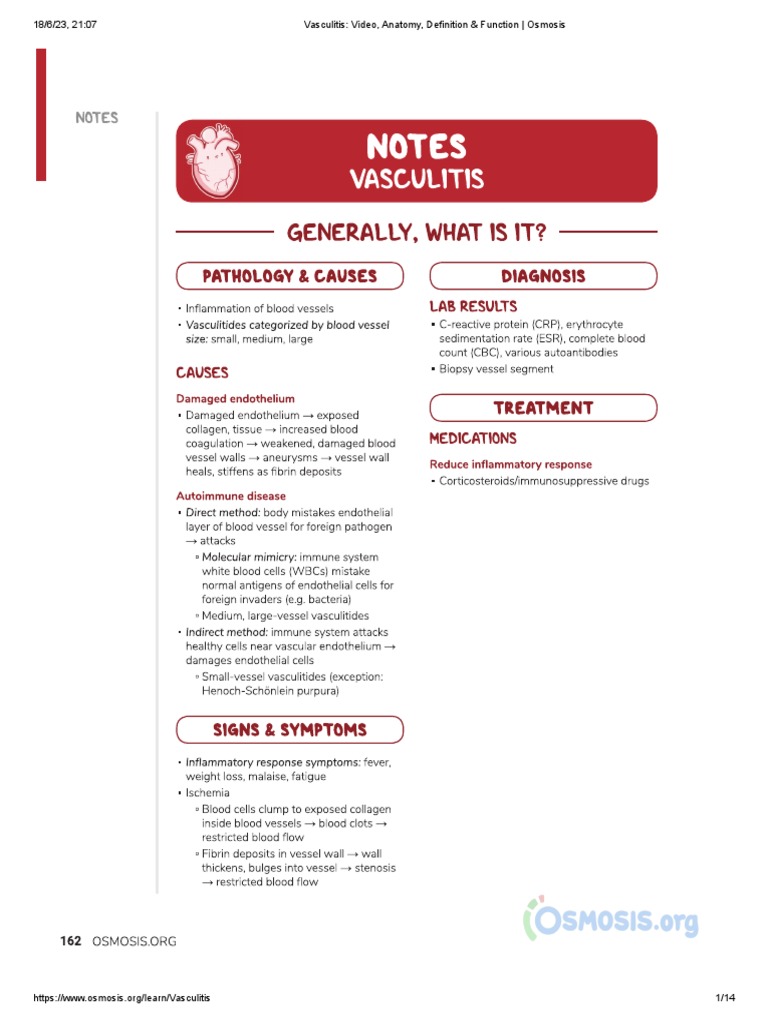 Vasculitis - Video, Anatomy, Definition & Function - Osmosis | PDF ...