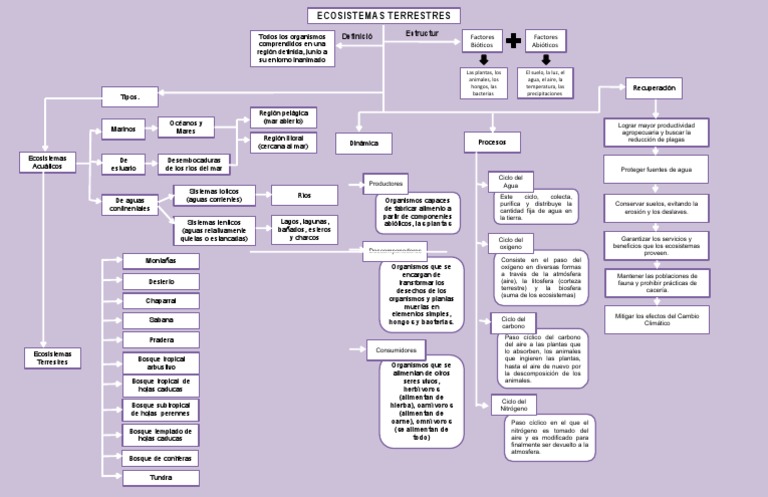 Mapa Conceptual de Los Ecosistemas Terrestres | PDF | Ecosistema | Mar