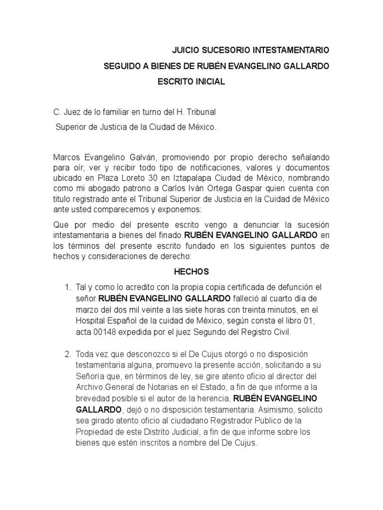 Juicio Sucesorio Intestamentario Pdf Gobierno Justicia