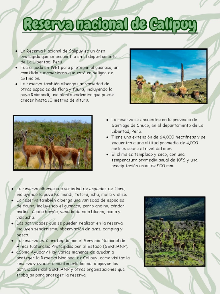 La Reserva Nacional de Calipuy es un área protegida que se encuentra en ...