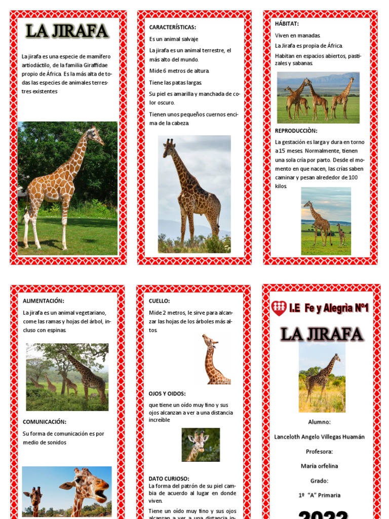 Jirafa Pdf