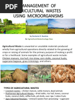 How Long Does It Takes For A Paper To Decompose | PDF | Paper ...