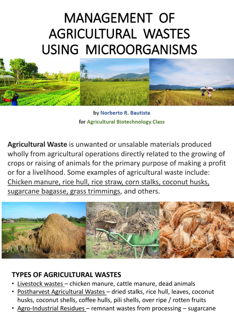 Management of Agricultural Wastes Using Microorganisms | PDF ...