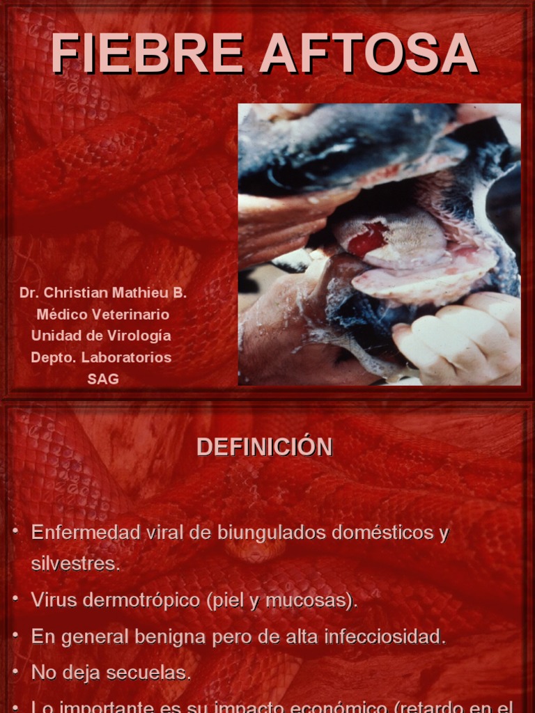 Fiebre Aftosa | Descargar gratis PDF | Elisa | Virus