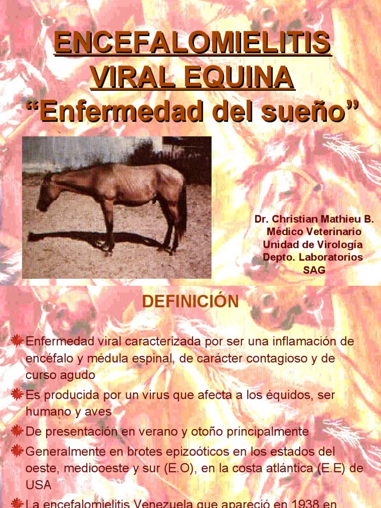 Encefalitis Equina: Definición y Epidemiología | PDF | Virus ...