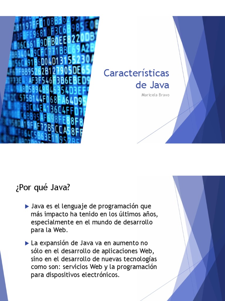 Caracteristicas de Java | PDF | Java (lenguaje de programación ...