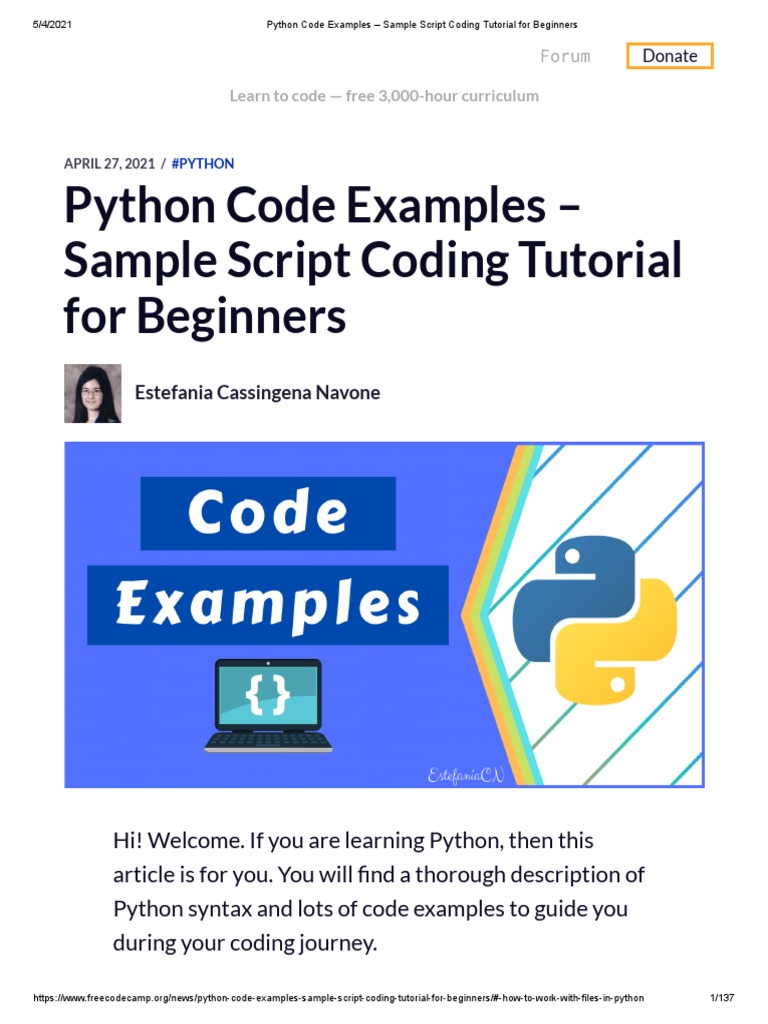 Python Code Examples Sample Script Coding Tutorial For Beginners Pdf Python Programming 