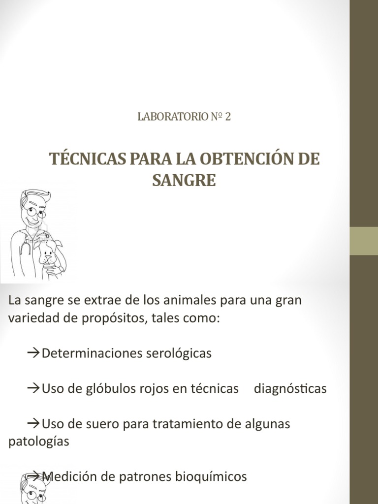 007 Extraccion de Sangre | PDF | Sangre | Especialidades Medicas
