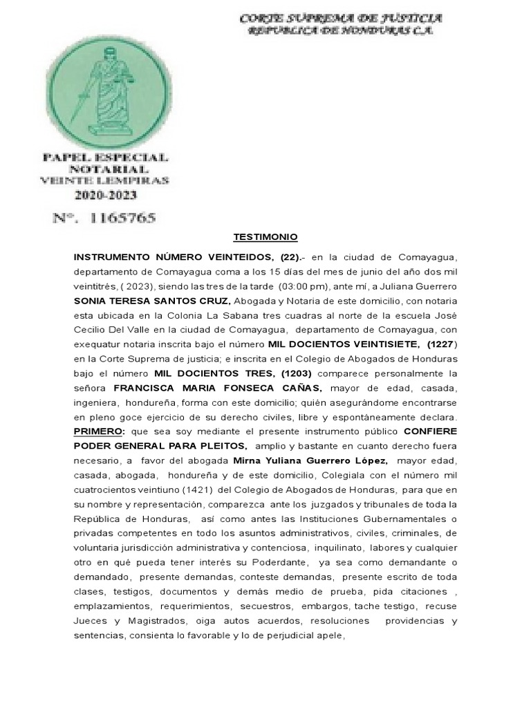 Carta Poder D Procesal Civil | PDF | Honduras | Demanda judicial