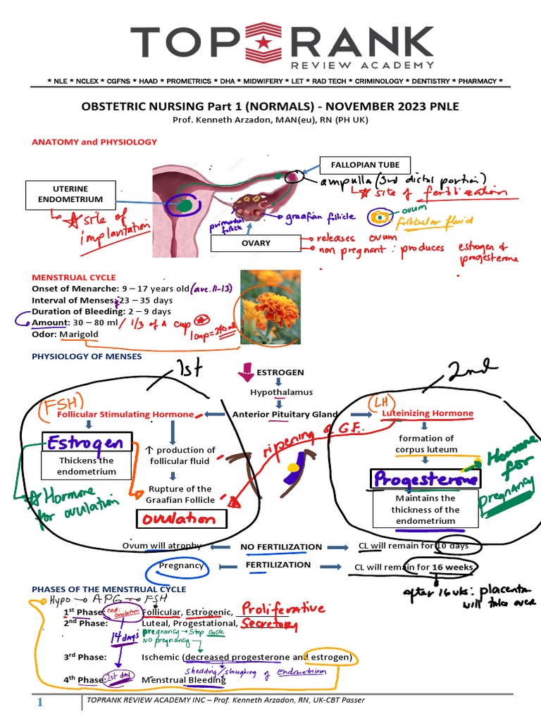 Ob Refresher Part 1 Normals Nov 2023 Pnle For Davao Babies | PDF ...