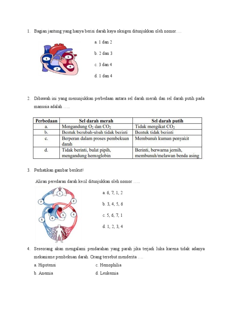 Soal Pre Test Post Test | PDF