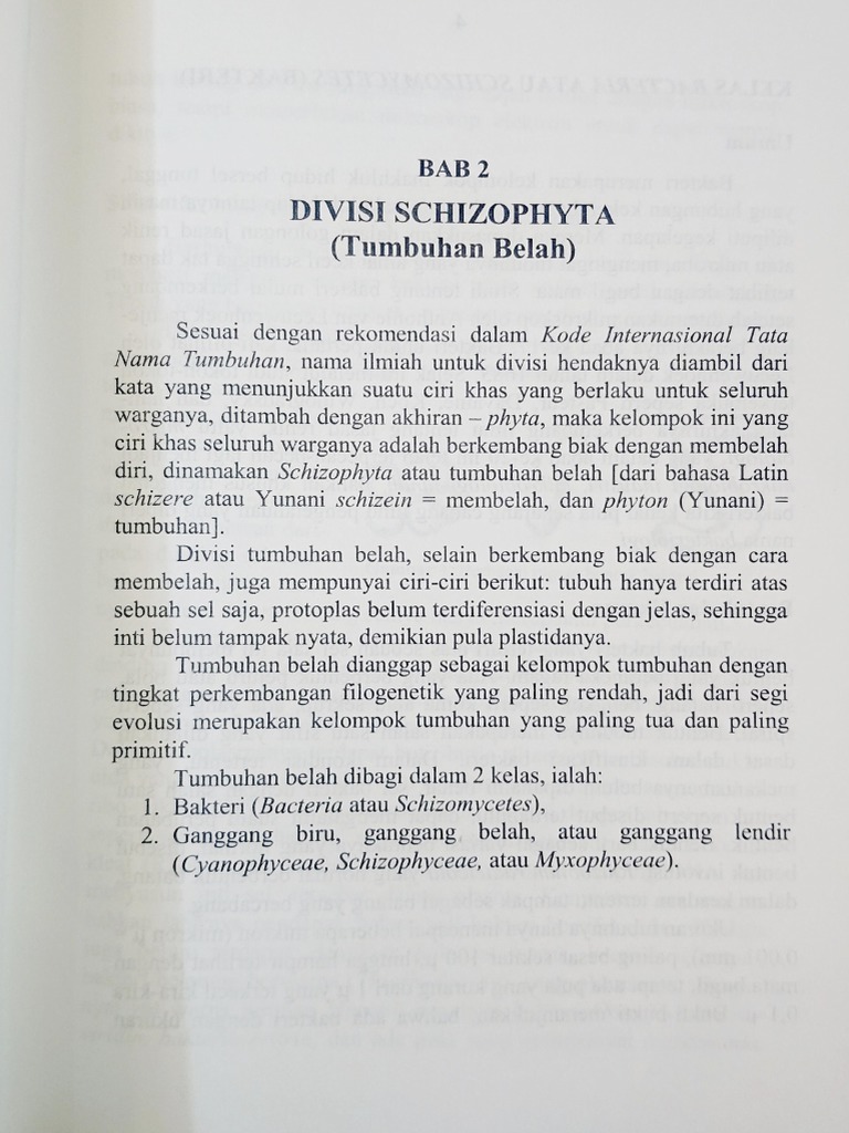 Taksonomi Tumbuhan Devisi Schizophyta (Tumbuhan Belah) | PDF