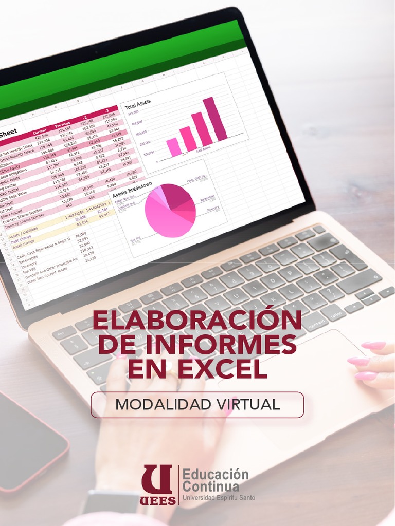 Curso Virtual: Informes en Excel | PDF | Microsoft Excel | Marketing