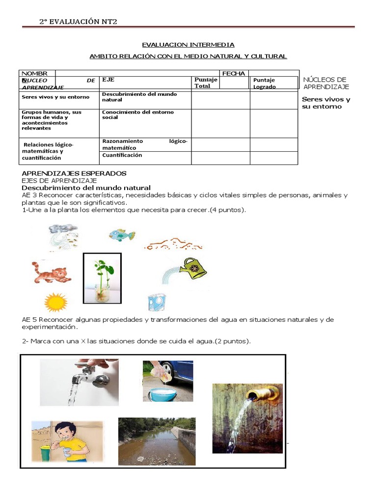 Evaluación Intermedia NT2 | PDF | Aprendizaje | Conocimiento
