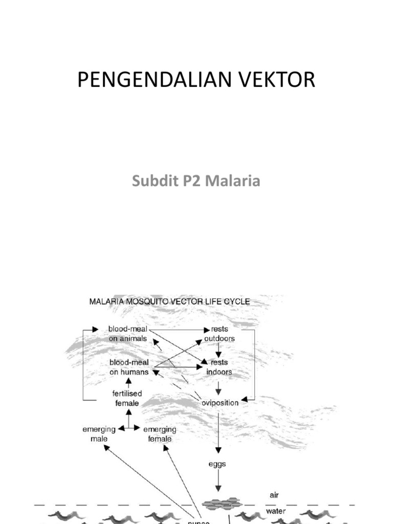 Strategi Pengendalian Malaria | PDF
