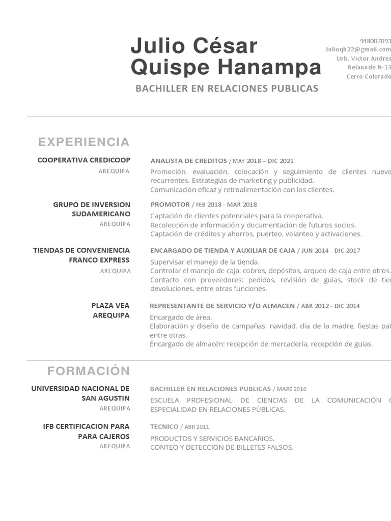 CV 2021 Julio | PDF | Business | Informática