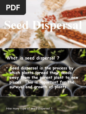 Seed Dispersal For Survival