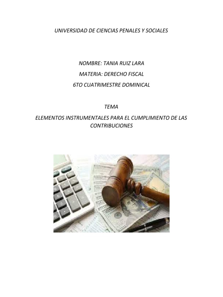 Elementos Intrumentales | PDF | Contabilidad | Economias