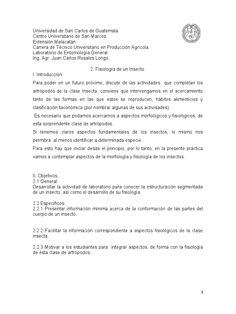 Morfología y Fisiología de Un Insecto. | PDF | Insectos | Tórax