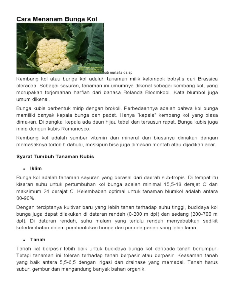 Cara Menanam Bunga Kol | PDF