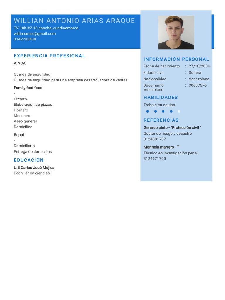 CV William Arias 2 | PDF