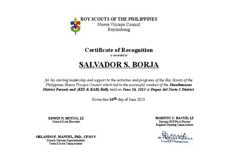 BSP Certificate | PDF
