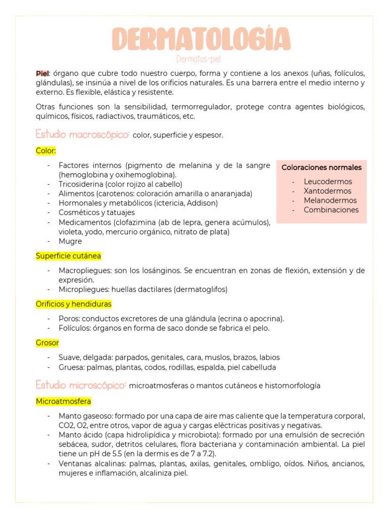 DERMATOLOGÍA | PDF | Piel | Anatomía
