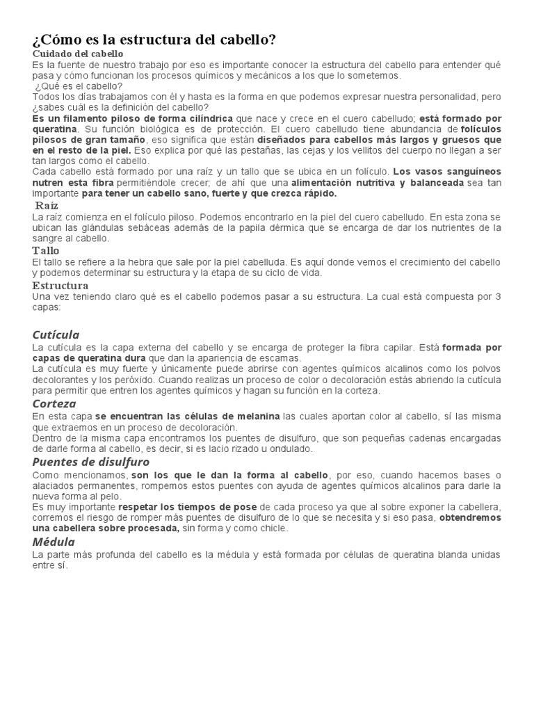 Cómo Es La Estructura Del Cabello | PDF | Pelo | Sistema tegumentario