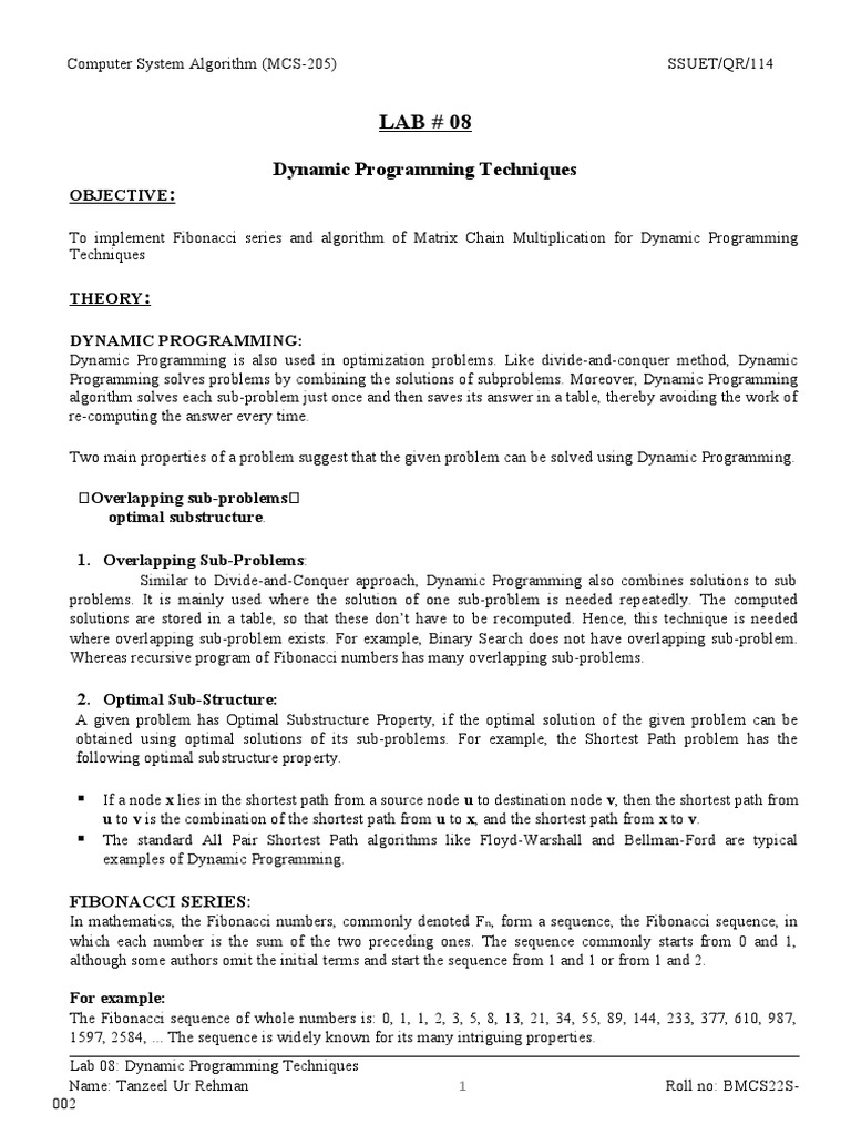 CSA Lab 8 | PDF | Dynamic Programming | Computer Science