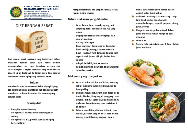 Diet Rendah Serat | PDF