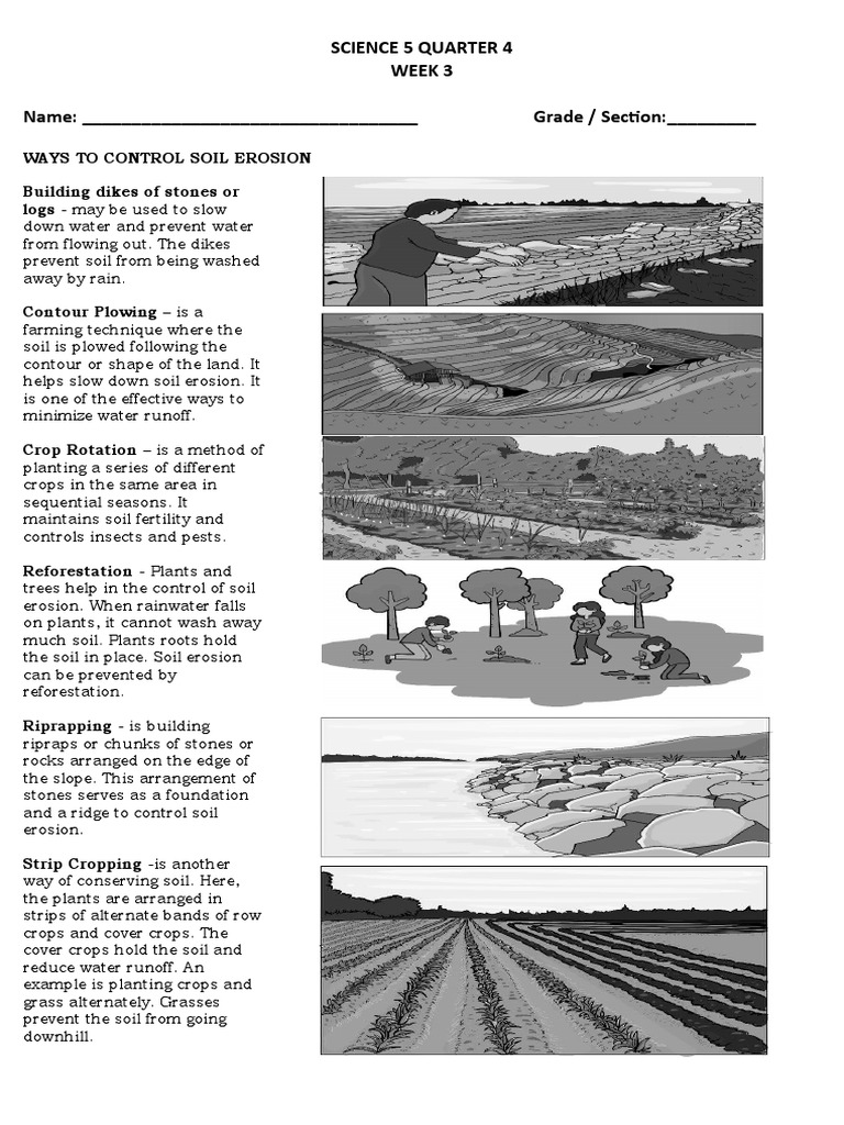 Science 5 Quarter 4 Week 3 Part 2 | PDF | Soil | Erosion