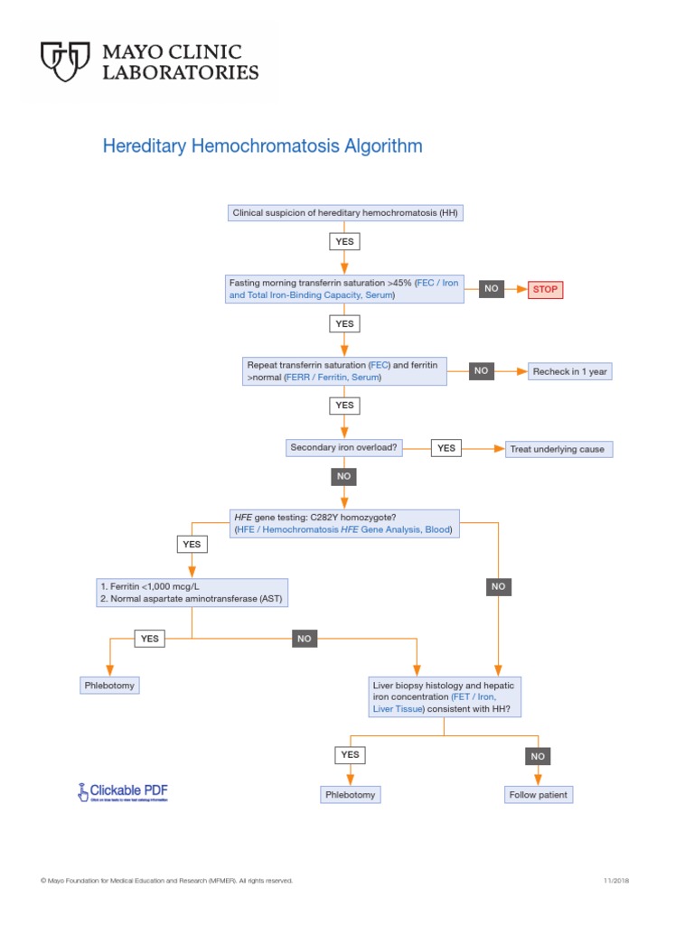 Hereditary Hemochromatosis Algorithm | PDF | Diseases And Disorders | Blood