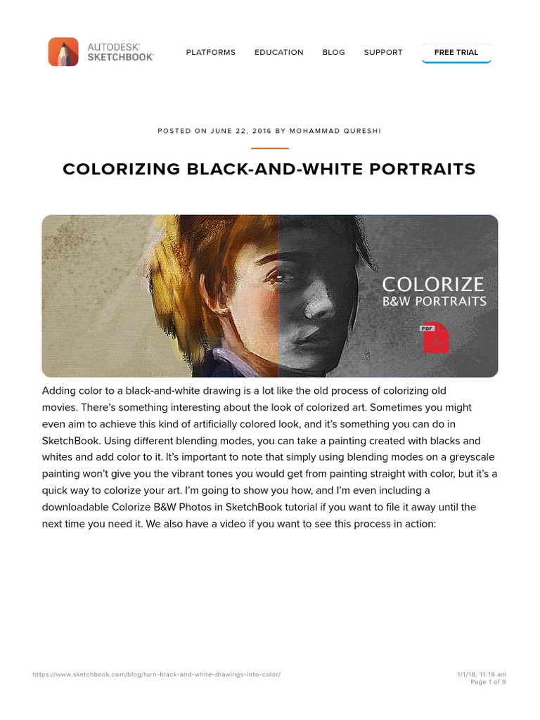 Colorizing Black-and-White Portraits - Autodesk SketchBook | PDF