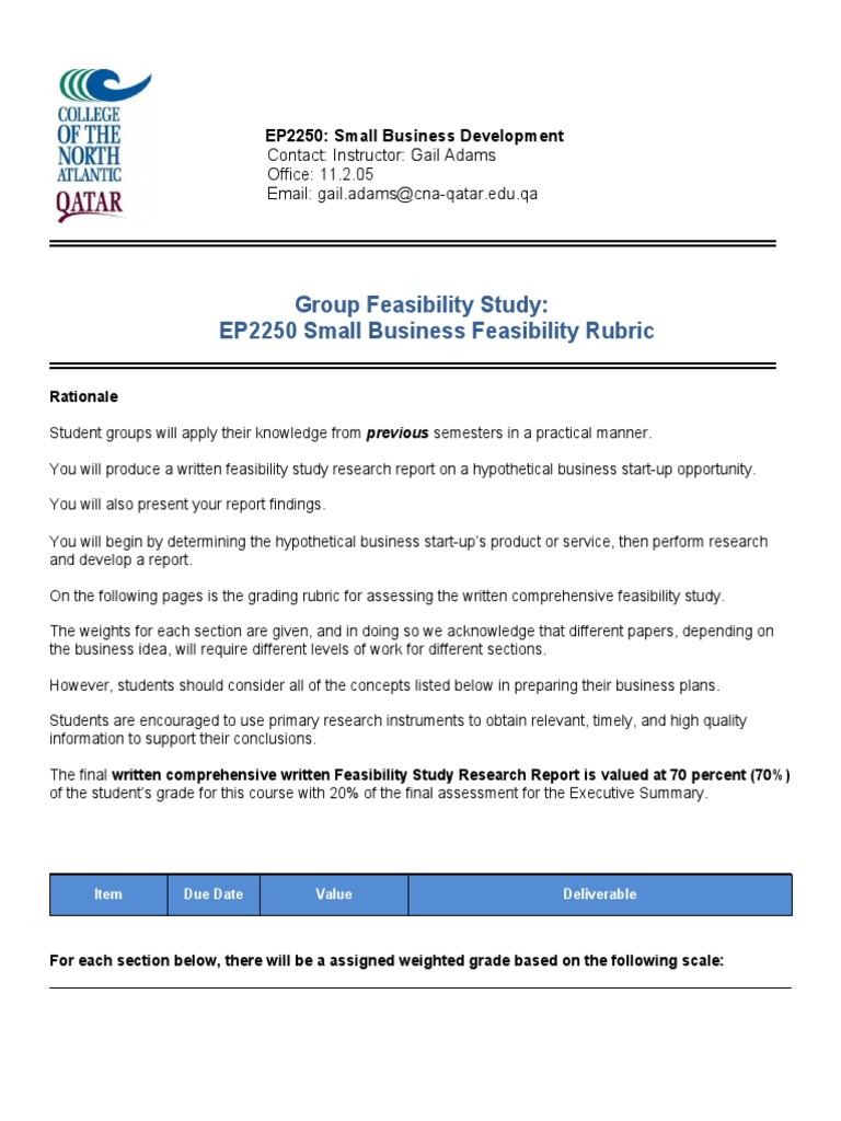 Business Feasibility Study Project and Grading Rubric Assessment | PDF | Marketing | Debt