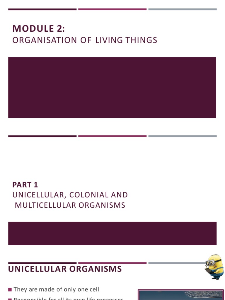 Module 2 | PDF | Cell (Biology) | Organisms