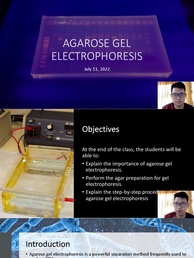 Agarose Gel Preparation STUDENT | PDF