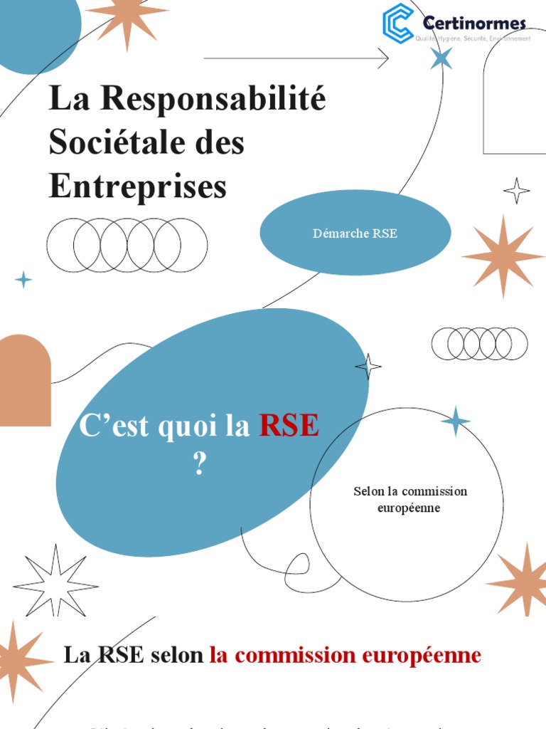 Rse 1 | PDF | Responsabilité sociétale des entreprises | Partie prenante