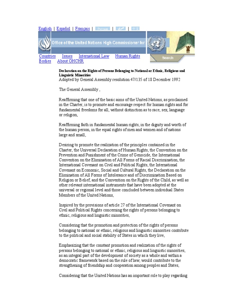 Minority Rights Declaration | PDF | Minority Group | Human Rights