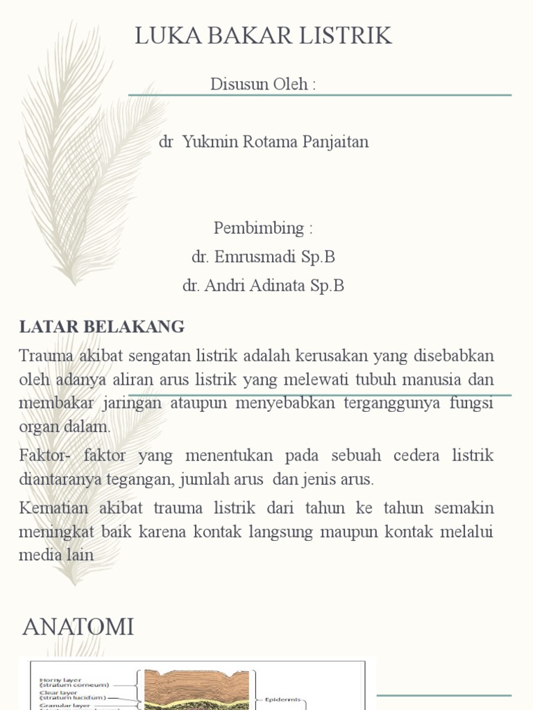 Luka Bakar Listrik | PDF