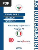 Italian Grammar Notes Level1 A1.1 | PDF | Foreign Language Studies | Art