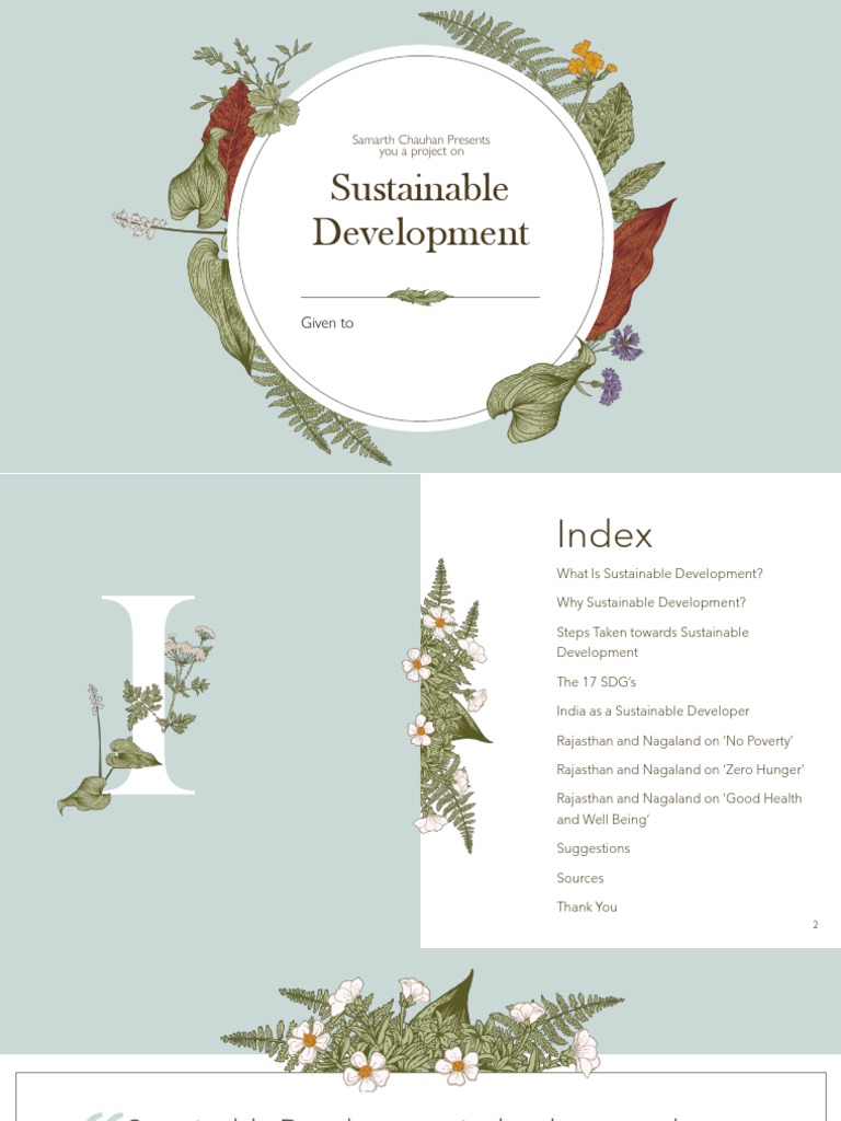 Sustainable Development Social Science Project | PDF | Sustainability ...