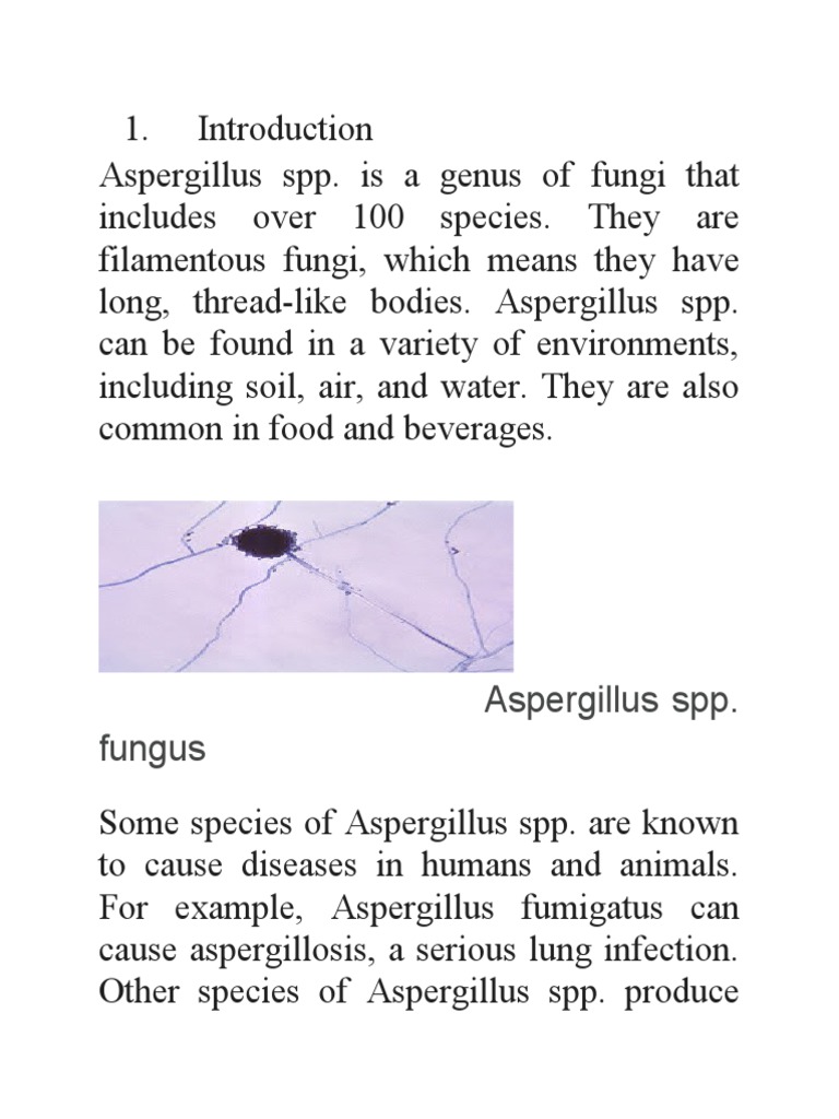 Aspergillus SPP | PDF | Environmental Remediation | Aspergillus