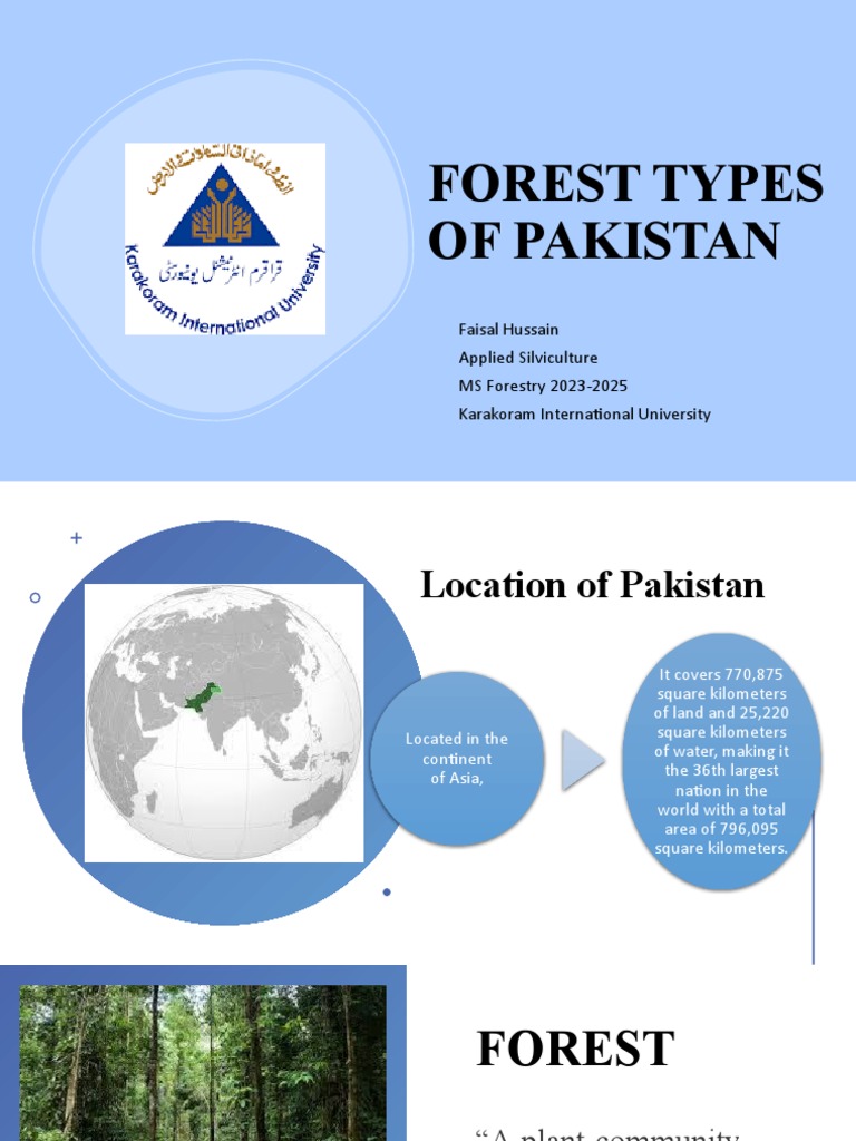 Forest Types of Pakistan For Advance Silviculture | PDF | Forests ...