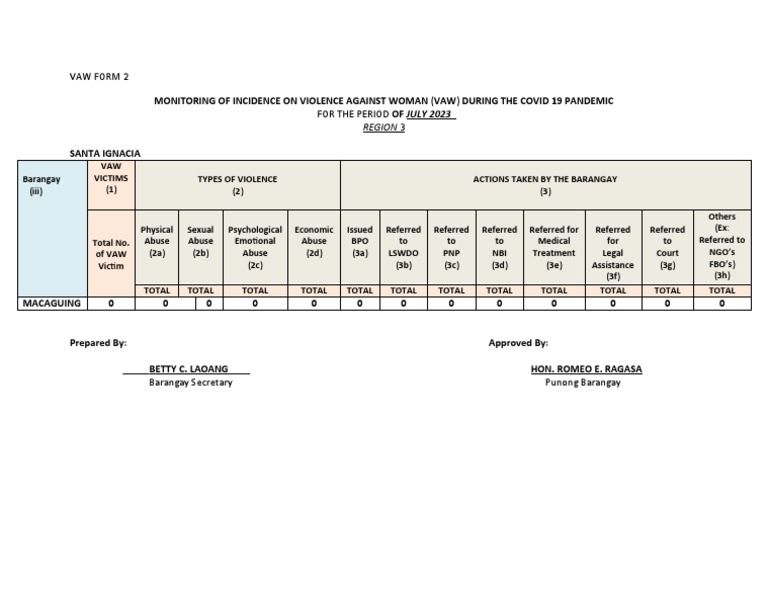 VAW FORM 2 REPORT | PDF