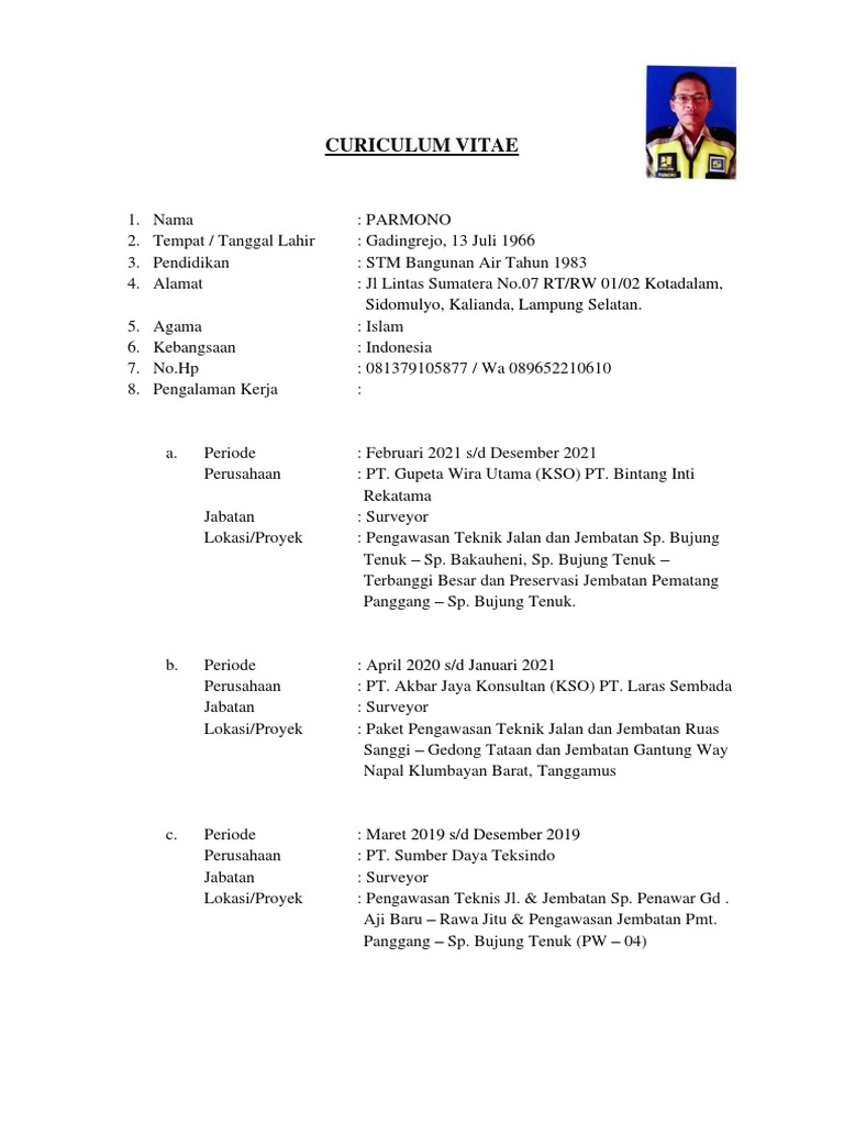 Curiculum Vitae 2022-Dikonversi | PDF