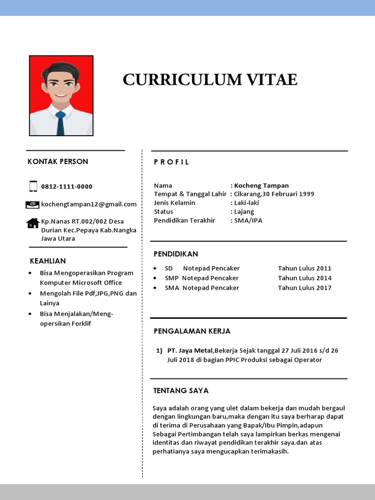 Contoh CV 1.2 | PDF