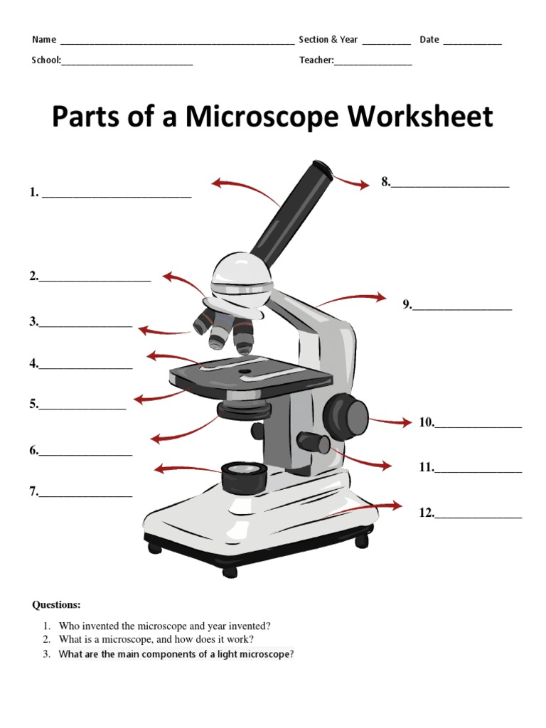 Microscope Answer Sheet | PDF