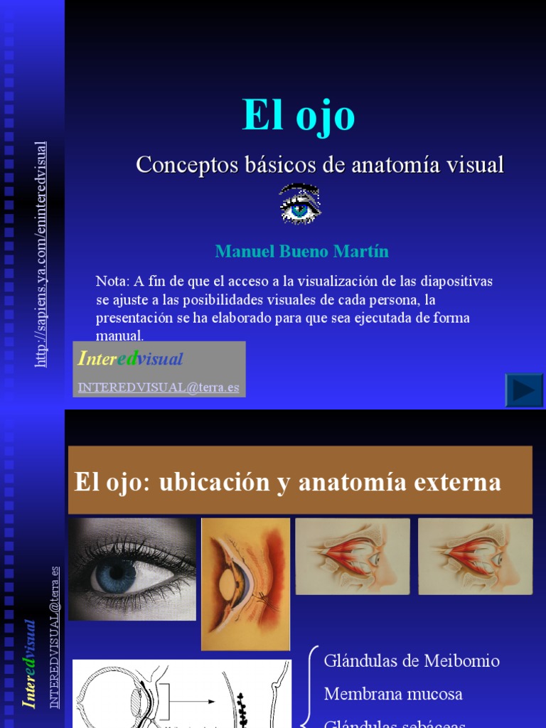 El Ojo | PDF | Ojo humano | Percepción visual