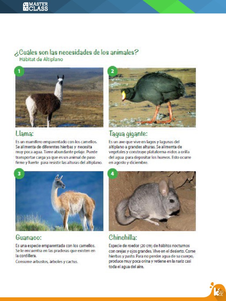 1512145598Imagen_Animales_chilenos | PDF