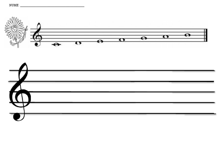 Fisa 1 - Portativ Gol | PDF